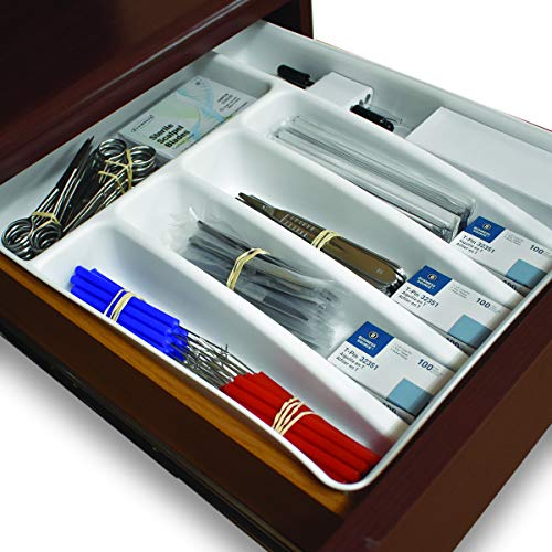 540 PCS DR Instruments DRCLS20 - Classroom Dissection Kit for 20/40 Students, Stainless Steel Instruments & Slotted Tray.