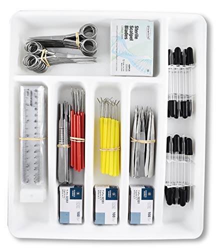 540 PCS DR Instruments DRCLS20 - Classroom Dissection Kit for 20/40 Students, Stainless Steel Instruments & Slotted Tray.