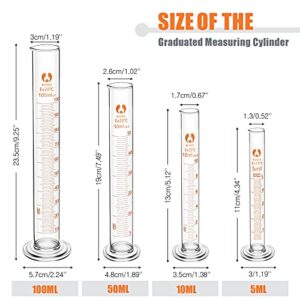 Feekoon 10 Pieces Glass Measuring Beaker and Graduated Measuring Cylinder with Stirring Rod 50/100/ 250/500/ 1000 ml Thick Glass Beakers and 5/10/ 50/100 ml Graduated Cylinders for Science Lab