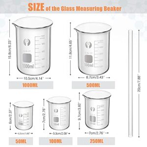 Feekoon 10 Pieces Glass Measuring Beaker and Graduated Measuring Cylinder with Stirring Rod 50/100/ 250/500/ 1000 ml Thick Glass Beakers and 5/10/ 50/100 ml Graduated Cylinders for Science Lab