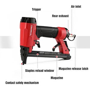 WORKPRO Pneumatic 20 Gauge Staple Gun, T50 Upholstery Stapler with 1260pcs Staples 1/4”to 5/8”, Rear Exhaust, for Carpentry, Woodworking and DIY Projects