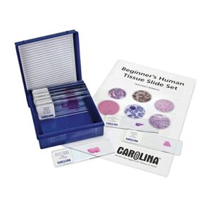 beginner’s human tissue microscope slide set