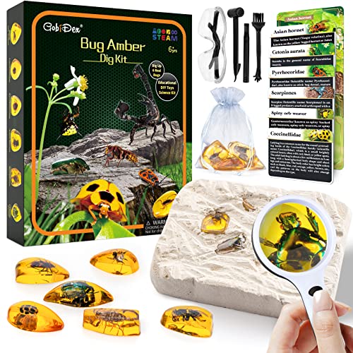 Amber Dig Kit-Artificial Insect Resin, Excavate 6 Insects Specimens, STEM Geographic Educational Bugs Toys, Excavation Toys Science Kit for Fun Bugs Party Favors, Bug Collection Kit for Kids Age 6+