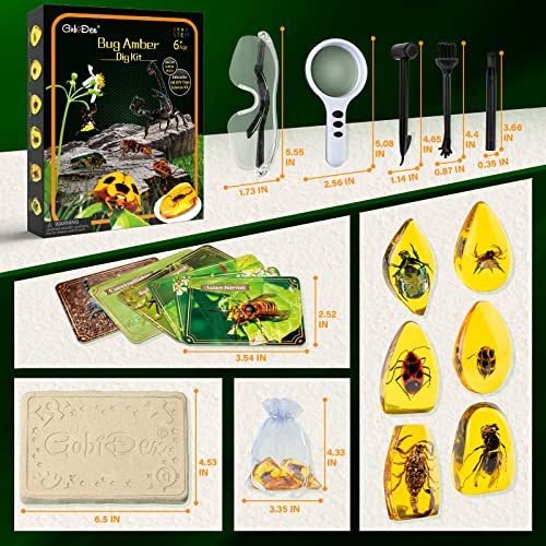 Amber Dig Kit-Artificial Insect Resin, Excavate 6 Insects Specimens, STEM Geographic Educational Bugs Toys, Excavation Toys Science Kit for Fun Bugs Party Favors, Bug Collection Kit for Kids Age 6+