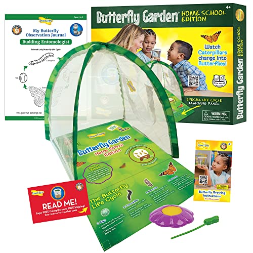 Insect Lore - Butterfly Growing Kit - Clear Front Facing Viewing Panel - Pre-Paid Voucher to Redeem Caterpillars Later – Life Science & STEM Education – Butterfly Science Kit