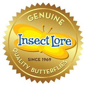 Insect Lore - Butterfly Growing Kit - With Voucher to Redeem Caterpillars Later