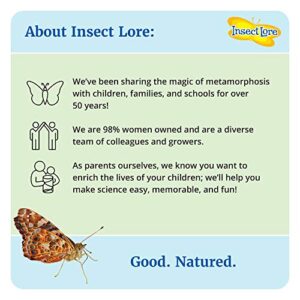 Insect Lore - Butterfly Growing Kit - With Voucher to Redeem Caterpillars Later