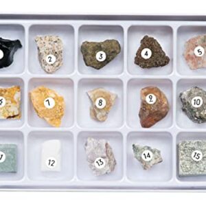 STEM Toy Rock Science Kit Geology Mineral Specimen For Kid Geologists