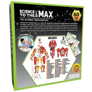 Be Amazing! Toys Interactive Human Body - 60 Piece Fully Poseable Anatomy Figure – 14” Tall Model - Anatomy Kit – Removable Muscles, Organs,Bones STEM Toy – Ages 8+