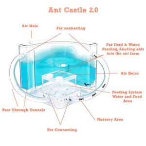 NAVADEAL Ant Farm Castle 2.0 with Connecting Tube, Ant Habitat Science Learning Kit, Best STEM 2021 Educational Kids Toy, Study Insect Behavior at Home & School, Plant Based Blue Gel 3D Maze Ecosystem