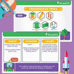 Carson Dellosa STEM Challenges, Jr. Learning Cards, 31 pc. Science Kits for Kids 4-6, STEM Kits for Kids 4+ Year Old, PreK-Grade 1 Hands-On Activity Cards for Plants, Animals, Weather and More