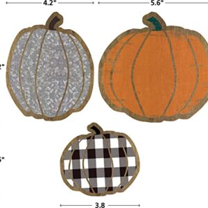 Teacher Created Resources Home Sweet Classroom Pumpkins Accents - Assorted Sizes (TCR8553)