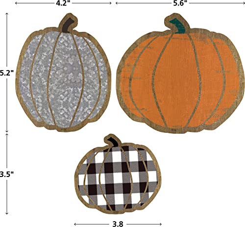 Teacher Created Resources Home Sweet Classroom Pumpkins Accents - Assorted Sizes (TCR8553)