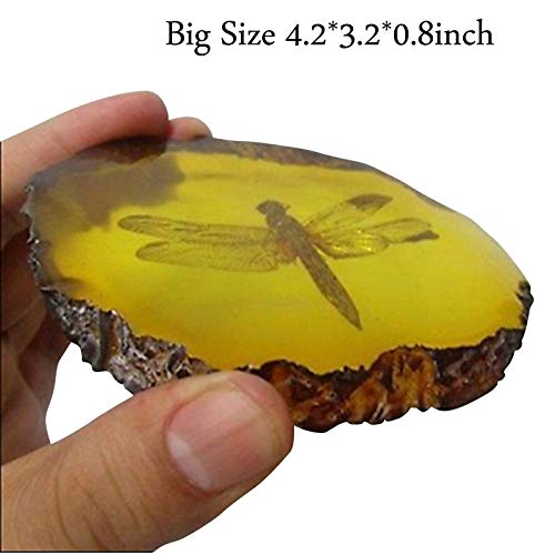 Amber Fossil Insect with Gift Bag and Gift Card，Museum Grade Specimen，Artificial Amber Natural Insect