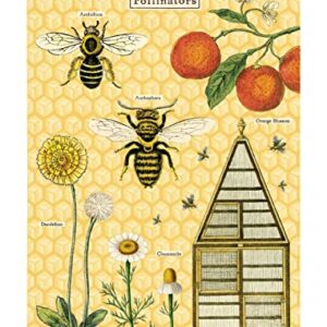 Bees & Honey Mini Notebooks