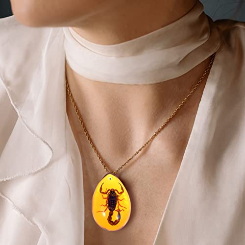 ULTNICE 3pcs Amber Insect Specimens Pendants Amber Fossil Insect Artificial Amber Insect Specimen Pendant Scorpions Insects Amber Stone Ornament for Necklace