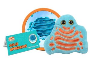 giantmicrobes golgi apparatus plush – learn about cell biology and organelles with this educational gift for family, friends, students, educators, scientists, and anyone with a healthy sense of humor