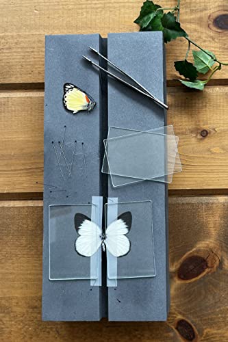 Generic Insect Butterfly Mounting Spreading Board