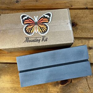 Generic Insect Butterfly Mounting Spreading Board