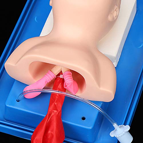 Intubation Manikin, Study Teaching Baby Model Lab Airway Management Training Infant Tracheal Manikin with Tube (US Shipping)