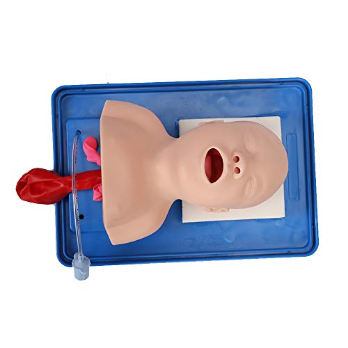 Intubation Manikin, Study Teaching Baby Model Lab Airway Management Training Infant Tracheal Manikin with Tube (US Shipping)