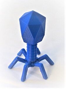 virus model, bacteriophage phage model, microbiology teaching (height 5″)