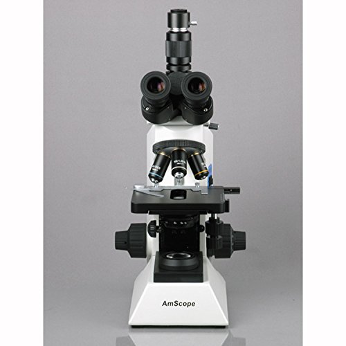 AmScope T580B 2000X Professional Research Biological Compound Microscope