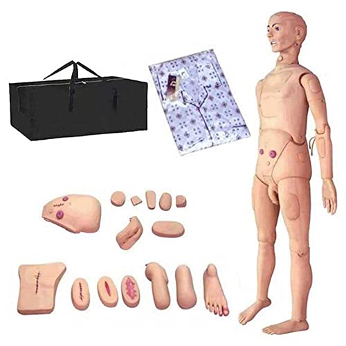 FOCCAR Patient Care Manikin Nursing Skills Training CPR Simulator 170Cm Life Size Full Body Human Anatomical Model for Medical Study