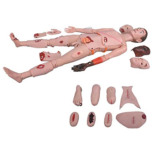 FOCCAR 66.92in Patient Care Simulator Nursing Manikin Human Anatomical Model for Medical Nursing Training Aid