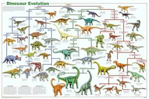 dinosaur evolution educational science chart poster 36 x 24in