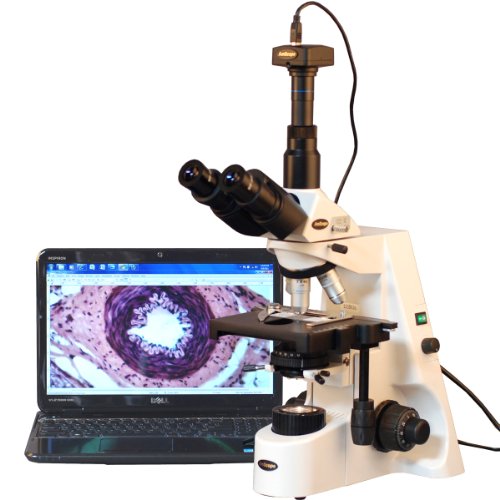 AmScope T690C-PL-10M Digital Trinocular Compound Microscope, 40X-2500X Magnification, WH10x and WH25x Super-Widefield Eyepieces, Infinity Plan Achromatic Objectives, Brightfield, Kohler Condenser, Double-Layer Mechanical Stage, Includes 10MP Camera with R