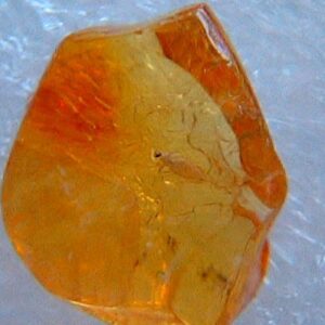 Genuine Baltic Amber Stone with Fossils Insects Inclusions in Magnifying Box 4 pcs