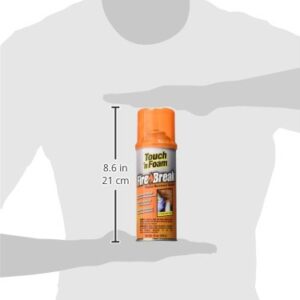 Touch 'n Foam 4004501212 EMW1801588, 1 Pack, Orange, 12 Ounces