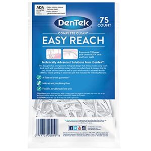 DenTek Complete Clean Easy Reach Floss Picks, No Break & No Shred Floss, 75 Count