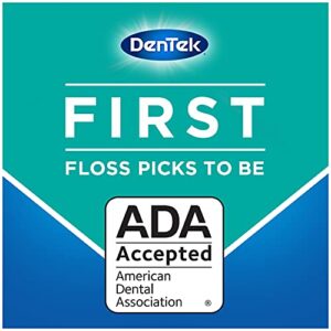 DenTek Complete Clean Easy Reach Floss Picks, No Break & No Shred Floss, 75 Count