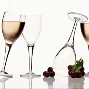 Luigi Bormioli Set of 4 Michelangelo Mastrepiece Wine Glasses, 8-Oz.