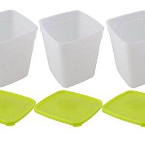 Arrow Home Products 00044 1-Quart Freezer Containers, 3-Pack, White/green