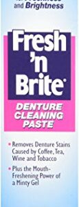 Stim-U-Dent Fresh 'n Brite Denture Cleaning Paste, 2 Count(Pack of 1)