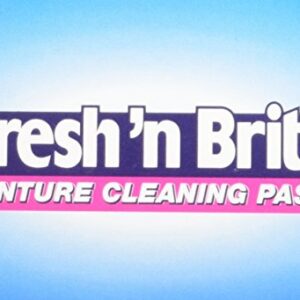 Stim-U-Dent Fresh 'n Brite Denture Cleaning Paste, 2 Count(Pack of 1)