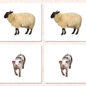 Adult Farm Animals: Matching Cards