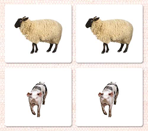 Adult Farm Animals: Matching Cards