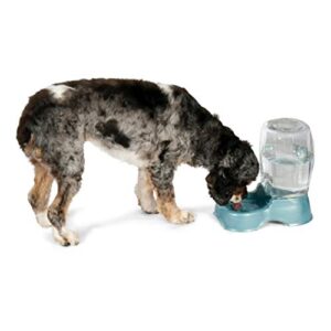 Petmate Pet Cafe Waterer Cat and Dog Water Dispenser 4 Sizes, 3 GAL, Pearl Tan