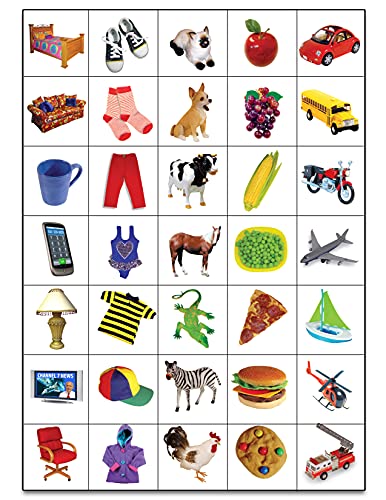 Super Duper Publications | Magnetic Early Classifying Board Game | Educational Learning Resource for Children