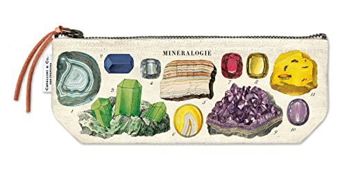 Cavallini Papers & Co. Mineralogy Mini Pouch, Assorted