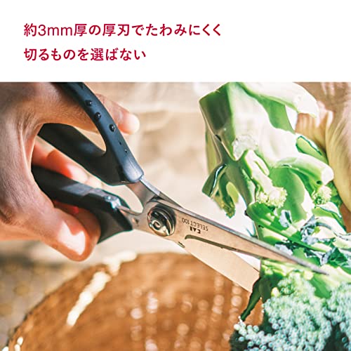 Kitchen Scissors (DH-3005)