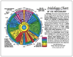 iridology chart of eye reflexology (rainbow coded) in the inner light resources rainbow® cards & charts series. 8.5 x 11 in. (small poster/ large card)