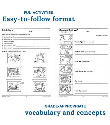 The 100+ Series: French Workbook, Grades 6-12 French Book Covering Alphabet Letters, Numbers, and Vocabulary, French Language Learning Reproducible Activities, Classroom or Homeschool Curriculum