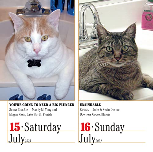 365 Cats Page-A-Day Calendar 2023: The World's Favorite Cat Calendar