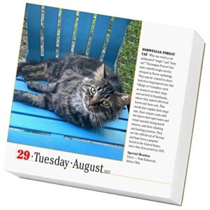 365 Cats Page-A-Day Calendar 2023: The World's Favorite Cat Calendar