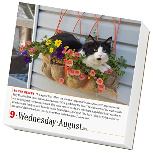 365 Cats Page-A-Day Calendar 2023: The World's Favorite Cat Calendar